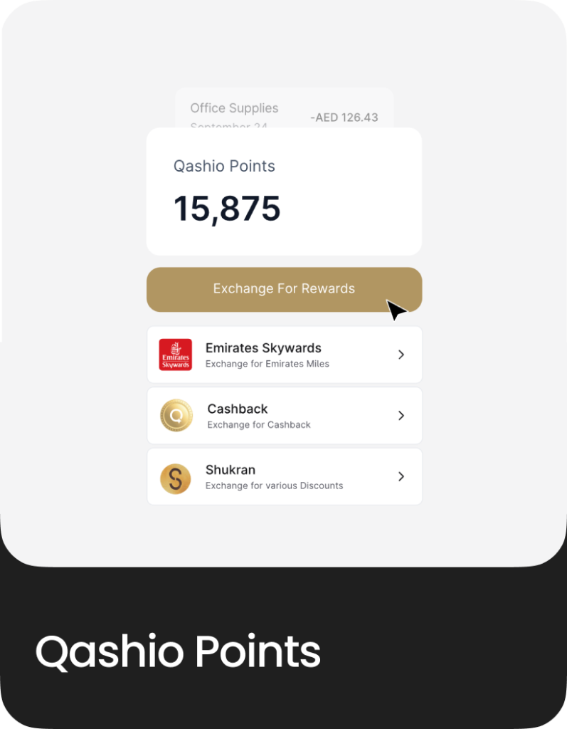 Qashio - Watermelon Ecosystem